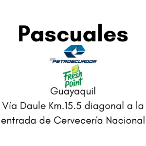 Nuestras Estaciones – Nucopsa S.A.